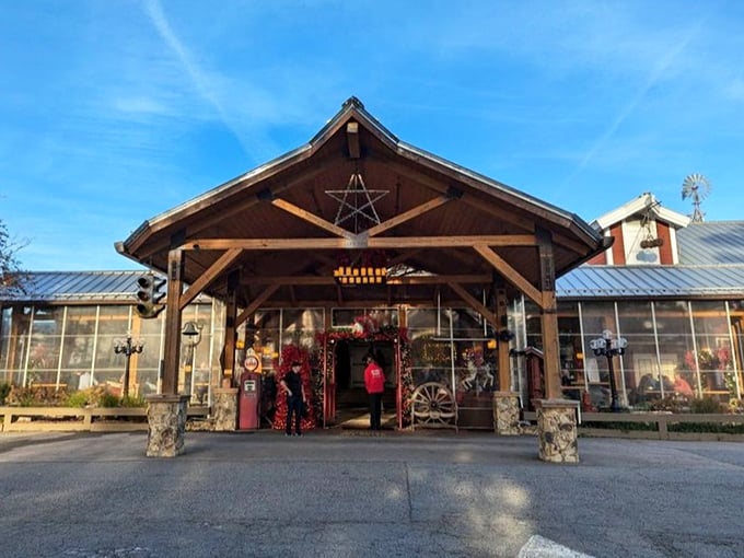 The grand entrance of Angus Barn stands like a rustic cathedral dedicated to the worship of perfectly cooked beef. Welcome to meat heaven.