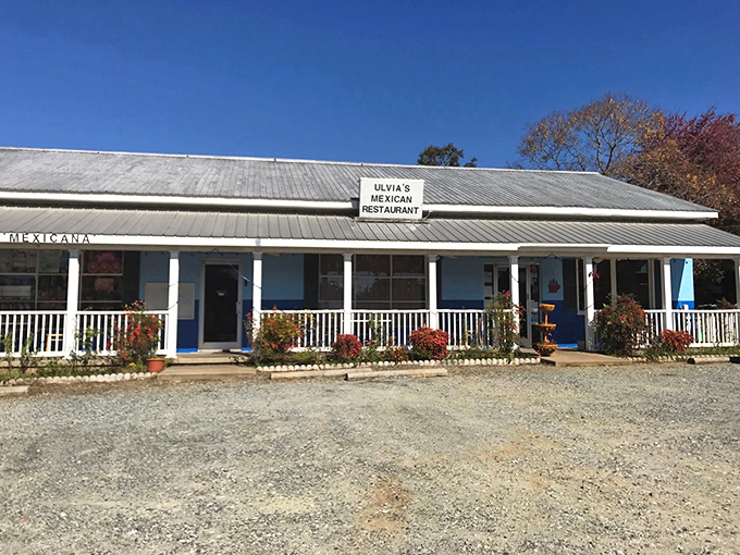 Ulvia's charming white exterior with vibrant red awnings feels like a warm embrace, proving that sometimes the most memorable meals come from the most unassuming places. 