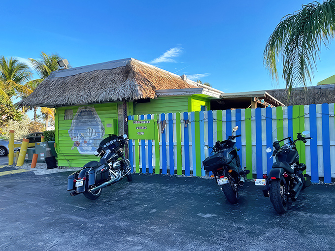 The lime green exterior isn't subtle, but neither is Florida. This technicolor dreamcoat of a building promises fun before you even step inside.