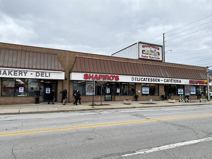 Shapiro's iconic cafeteria counter stands ready for action, where sandwich artisans transform simple ingredients into edible masterpieces that would make any New Yorker weep with joy.