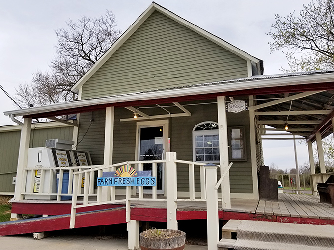 The humble green exterior of Pierpont General Store belies the culinary treasures within. Those "Farm Fresh Eggs" are just the beginning of your flavor journey.