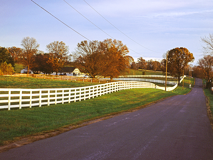 A beautiful sight where agriculture and tourism coexist in harmonious rural ballet.