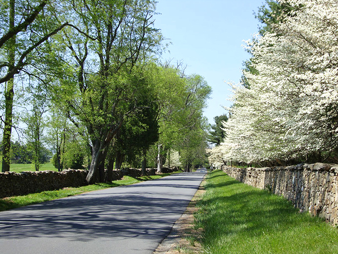A beautiful sight where agriculture and tourism coexist in harmonious rural ballet.