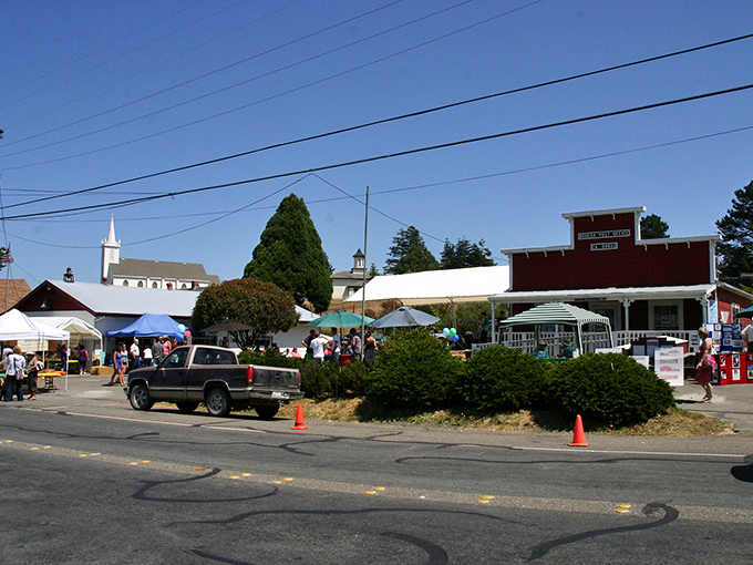 Bodega Bay's panoramic coastline unfolds like nature's IMAX screen&mdash;homes perched on bluffs enjoying million-dollar views that no Netflix subscription could ever match.