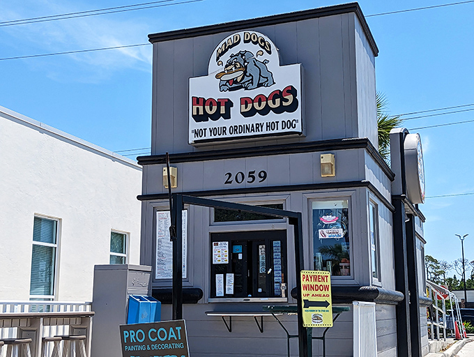 The unassuming gray building with its cartoon bulldog mascot proudly announces: "NOT YOUR ORDINARY HOT DOG." Architectural modesty, culinary boldness.