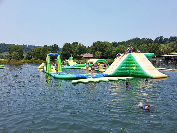 The ultimate floating playground where adults rediscover their inner child and kids find something better than screen time. Lake Chatuge's crown jewel beckons.