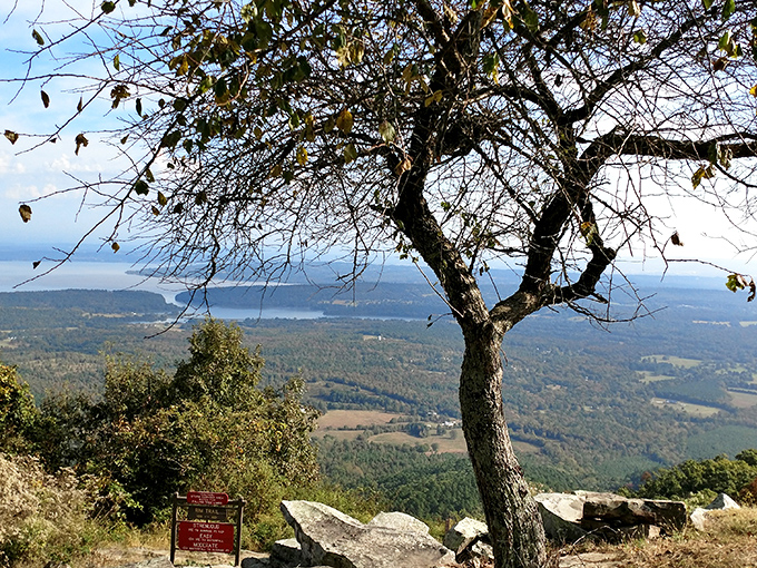 Nature's own watercolor masterpiece unfolds at sunset, painting the Arkansas River Valley in hues that would make even Bob Ross whisper "happy little mountains."