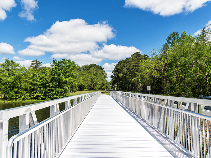 The wooden boardwalk stretches toward autumn's canvas, where nature shows off like it's auditioning for a calendar shoot.