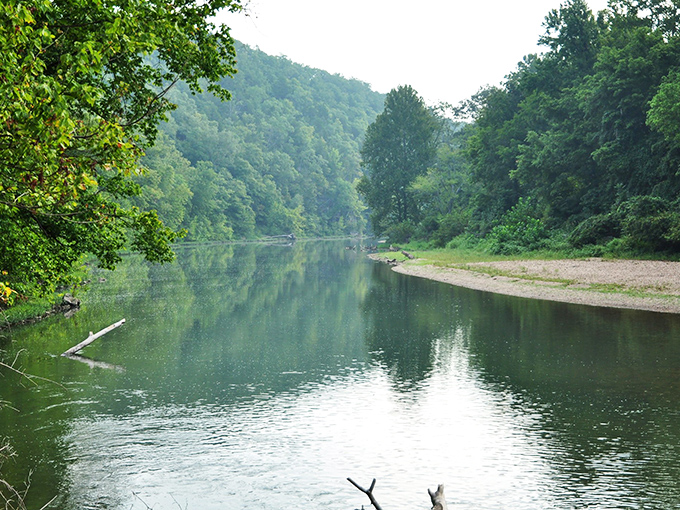 The Meramec River flows gently through the park, offering a serene escape where time seems to slow to match the current's peaceful pace.