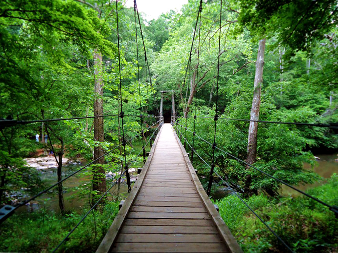 The suspension bridge at Eno River State Park isn't just a crossing&mdash;it's an invitation to adventure that sways ever so slightly with each step. 