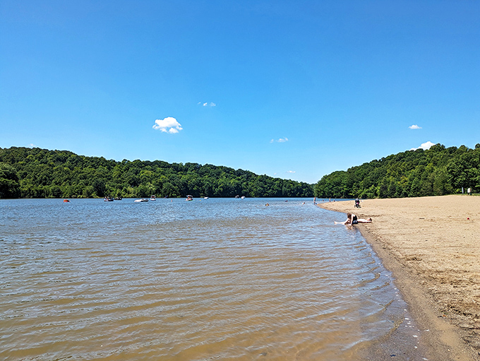 Nature's perfect canvas unfolds at Salt Fork State Park, where the shimmering lake meets verdant shorelines under an impossibly blue Ohio sky.