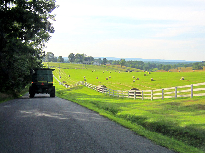 A beautiful sight where agriculture and tourism coexist in harmonious rural ballet.
