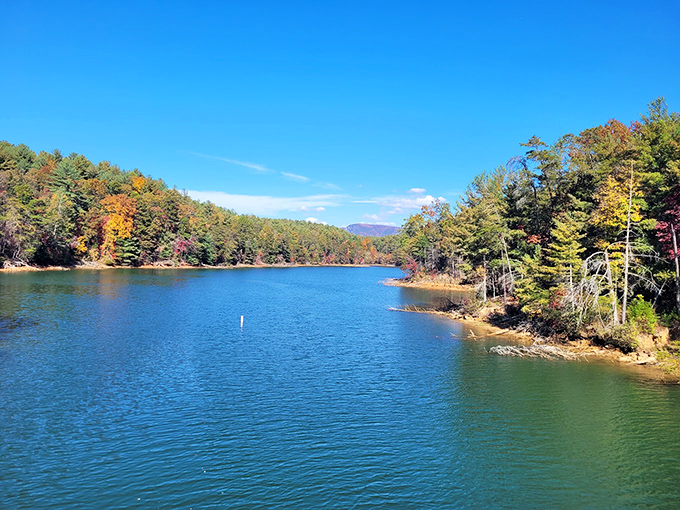 Crystal-clear waters meet pristine shorelines at Lake James, where the Blue Ridge foothills create nature's perfect amphitheater for relaxation. 