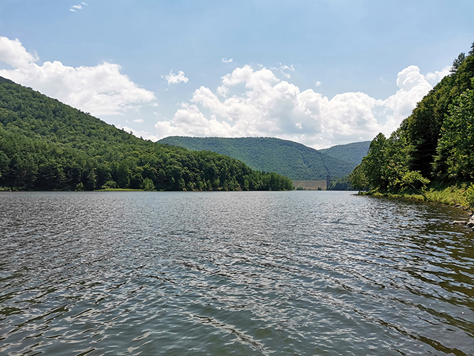 The daytime view at Cherry Springs offers a different kind of majesty&mdash;wide open spaces under Pennsylvania's big sky, nature's own amphitheater before the stellar show begins.