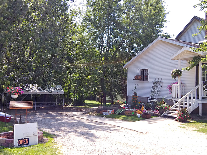 The unassuming white farmhouse that houses Pleasant View Bakery stands like a beacon of hope for carb enthusiasts. No fancy signage needed when your donuts speak for themselves.
