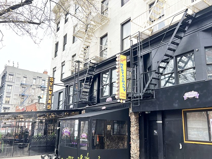 The classic New York storefront beckons with its iconic yellow sign &ndash; Sylvia's standing proud on Malcolm X Boulevard like a culinary lighthouse in Harlem.