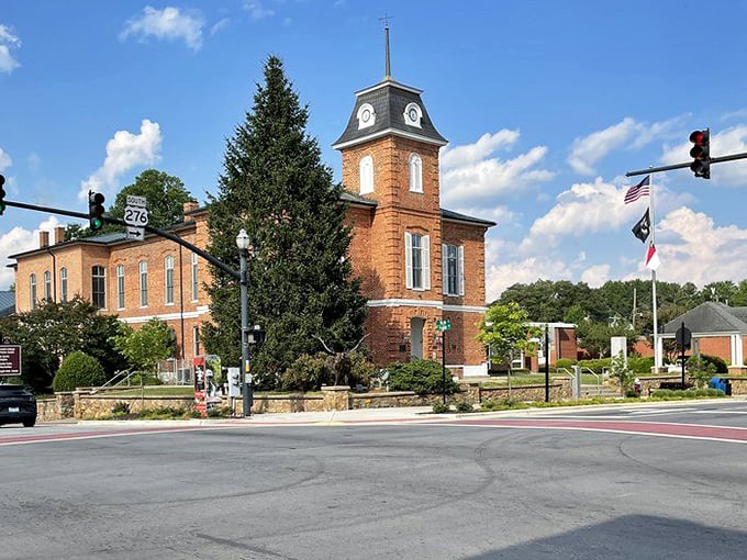 Cherry blossoms transform Brevard's Main Street into a pink wonderland each spring, creating a scene that rivals Washington DC's famous display.
