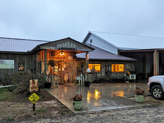 The unassuming exterior of Cedar Lane Supper Club beckons like a beacon for beef lovers. This wooden wonder proves Georgia's best flavors often hide in plain sight.