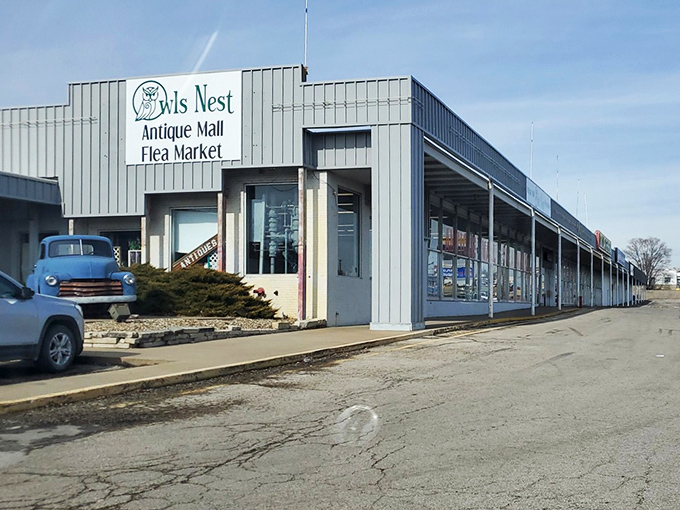 The unassuming exterior of Owls Nest hides a universe of treasures within, like finding a portal to the past behind that classic blue pickup truck.