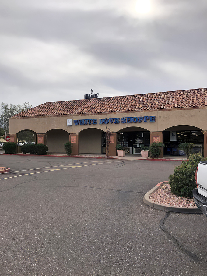 The unassuming exterior of White Dove Thrift Shoppe hides a treasure trove within, like finding a Michelin-starred restaurant in a strip mall.