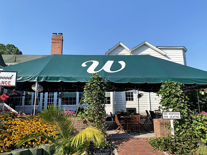 The Wellwood's charming exterior is beckoning hungry travelers to a seafood sanctuary where history meets hospitality.