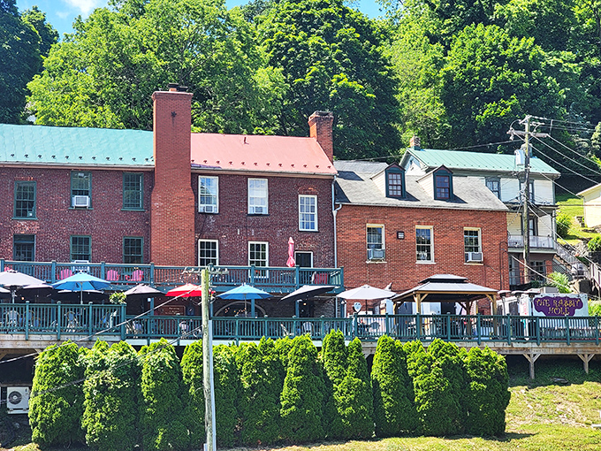 The brick exterior of The Rabbit Hole beckons like a storybook invitation, complete with climbing roses and mountain views that make waiting for a table feel like a vacation.