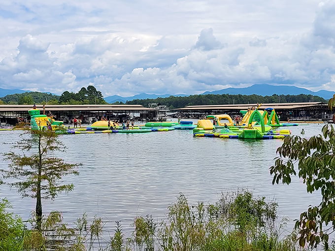 The ultimate floating playground where adults rediscover their inner child and kids find something better than screen time. Lake Chatuge's crown jewel beckons.