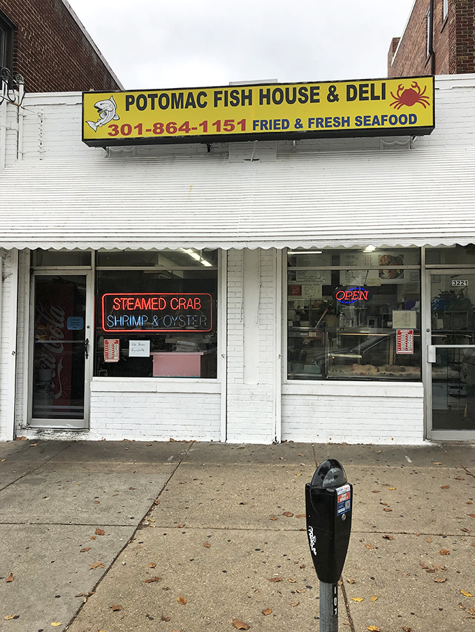 The bright yellow sign beckons seafood lovers like a lighthouse guiding hungry sailors to shore. No fancy frills, just the promise of fried perfection.