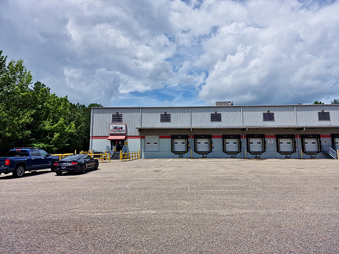 Ready for liftoff! The starting grid at K1 Speed Bessemer looks like NASA mission control for adrenaline junkies with wheels instead of rockets.