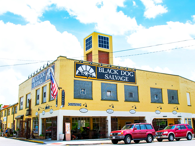 The sunshine-yellow exterior of Black Dog Salvage stands like a beacon for treasure hunters. This architectural playground in Roanoke promises adventures in every corner.