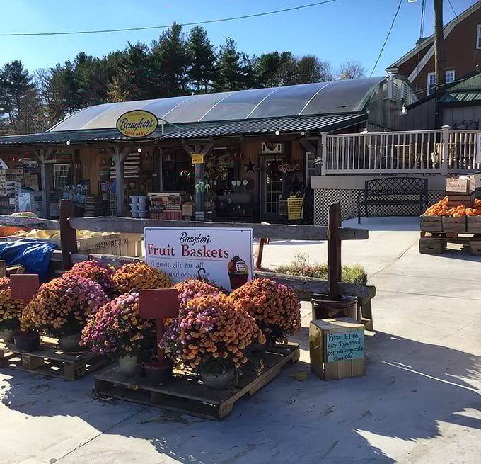 Baugher's welcomes hungry travelers with its charming farm market display, promising fresh delights before you even step inside.