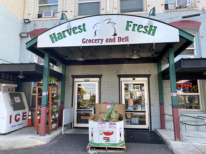 A fresh garden salad bursting with color &ndash; crisp romaine, purple cabbage, and carrots topped with crunchy croutons and ready for a drizzle of dressing.