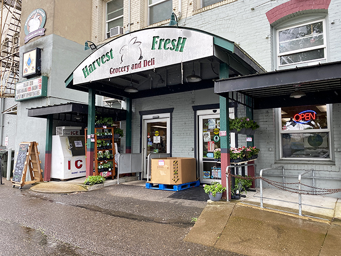 A fresh garden salad bursting with color &ndash; crisp romaine, purple cabbage, and carrots topped with crunchy croutons and ready for a drizzle of dressing. 