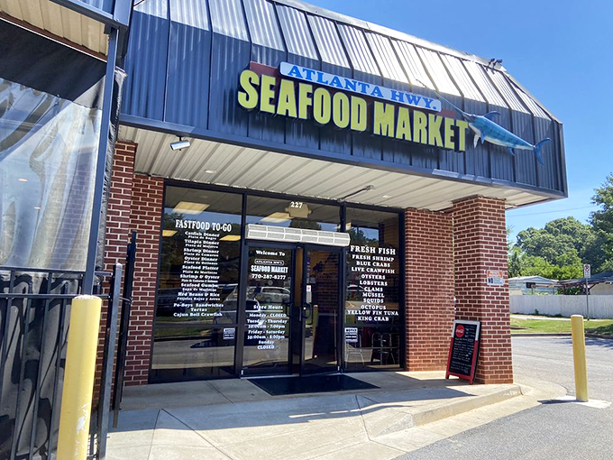 The blue marlin mounted above the entrance isn't just decoration&mdash;it's a maritime promise of the oceanic treasures waiting inside this unassuming Gainesville gem.