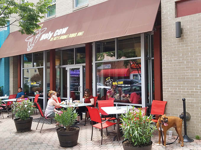 The unassuming storefront of Holy Cow beckons with patriotic bunting and the promise of burger nirvana. Del Ray's worst-kept delicious secret.