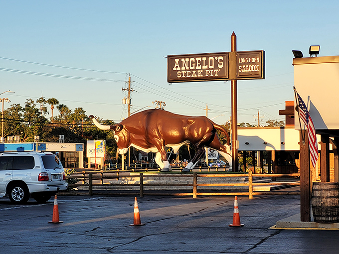 The legendary bull statue stands guard outside Angelo's Steak Pit, a beacon for carnivores that's more reliable than any GPS. "Turn at the giant bull" is local shorthand for "prepare for deliciousness."