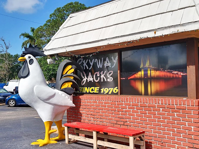 The giant chicken sentinel stands guard outside Skyway Jack's, a no-frills breakfast paradise that's been clucking since 1976. Florida dining at its most authentic.