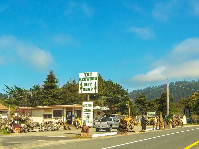 The Redwood Gift Shop stands as a quirky gateway to natural wonders, where roadside charm meets forest magic.