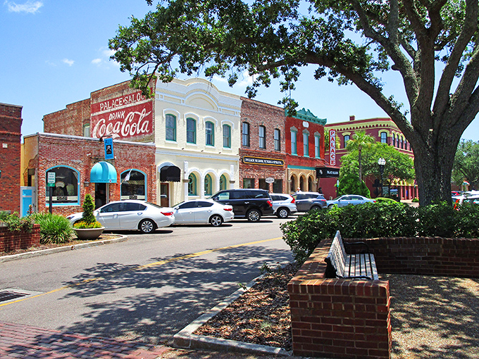 Centre Street's historic charm feels like stumbling onto a movie set where time decided to take a permanent vacation. Those brick buildings have stories to tell.