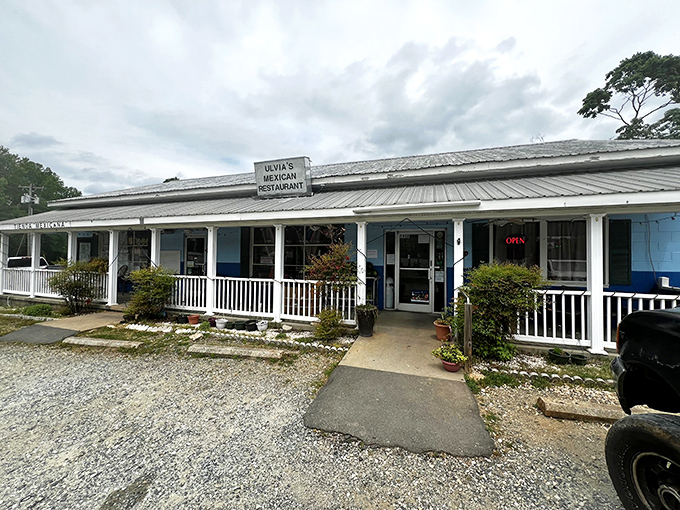 Ulvia's charming white exterior with vibrant red awnings feels like a warm embrace, proving that sometimes the most memorable meals come from the most unassuming places. 