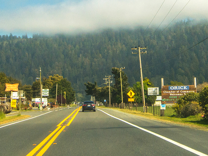 The Redwood Gift Shop stands as a quirky gateway to natural wonders, where roadside charm meets forest magic.