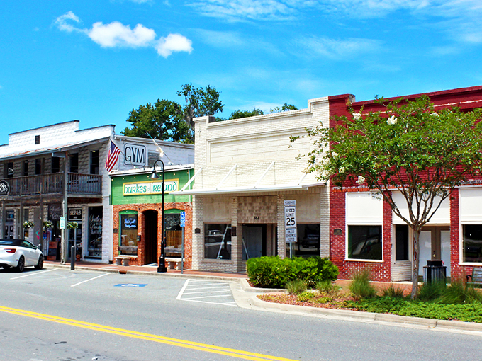 Crystal River's downtown charms with its colorful storefronts and small-town appeal. Old Florida architecture meets modern businesses in this walkable hub of local commerce.