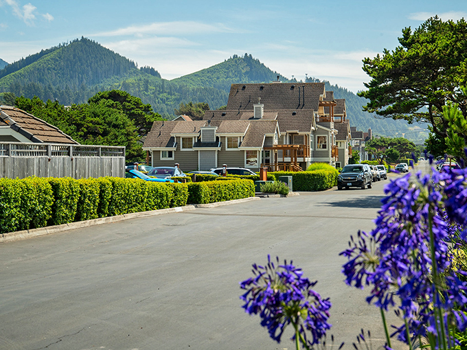 Tolovana Park greets visitors with picture-perfect coastal charm, where mountain backdrops and tidy beach homes create Oregon's version of paradise.