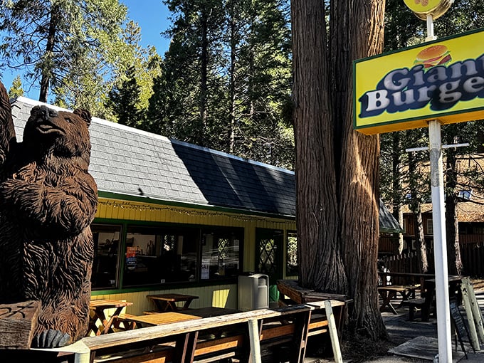 Nestled among towering pines, Giant Burger's charming A-frame structure stands as a beacon of hope for the hungry traveler. That wooden bear knows what's up.
