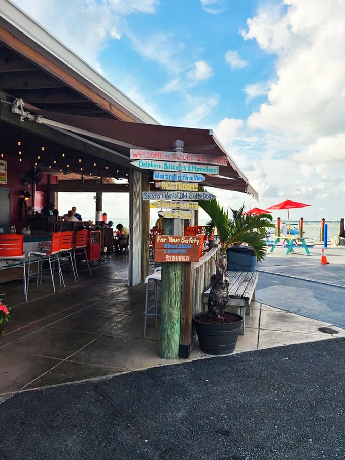 The Old Salty Dog's exterior welcomes you like an old friend, complete with bright red benches where you can plot your seafood strategy before diving in.