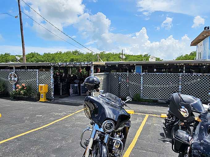 The unassuming exterior of Alabama Jacks might make you question your GPS, but trust me&mdash;culinary treasures often hide behind humble facades.