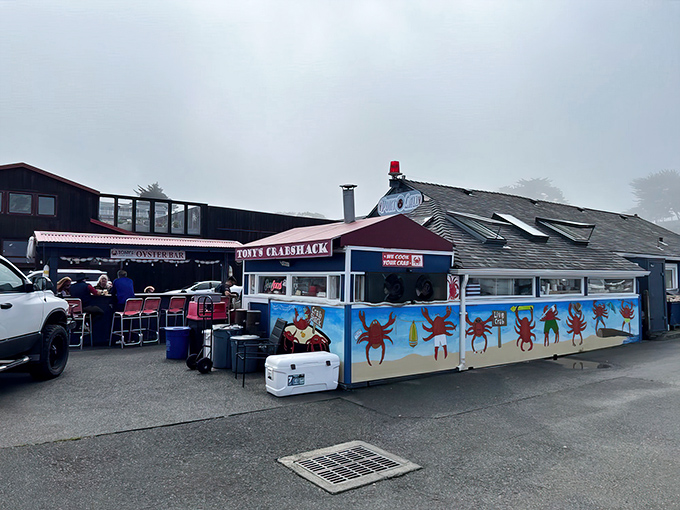 The sunset glow on Tony's Crab Shack feels like nature's way of highlighting where you should be eating dinner tonight.
