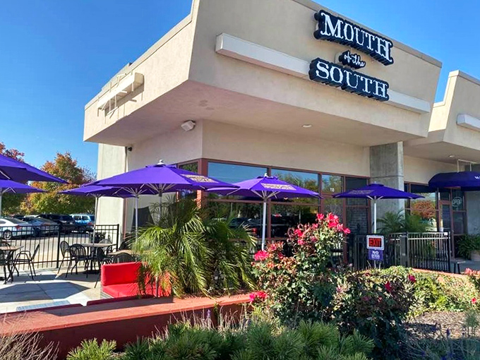 Those vibrant purple umbrellas are like beacons of flavor, signaling that this unassuming Omaha storefront houses serious Southern magic.