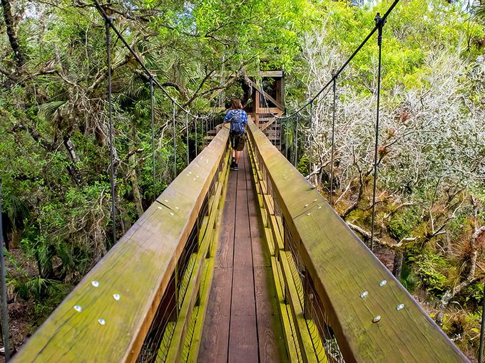 The Canopy Walkway stretches before you like nature's own welcome mat, inviting exploration among the treetops where birds conduct their morning meetings.
