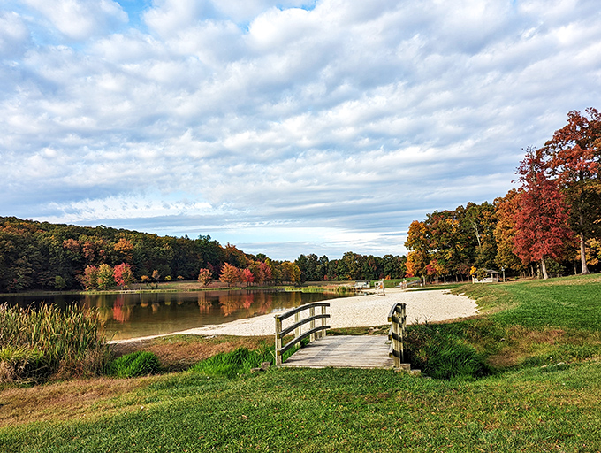Nature's perfect canvas unfolds at Greenbrier State Park, where autumn's golden touch transforms the shoreline into a masterpiece worth framing.